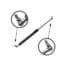 Trunk Struts | Gastac Gas Spring